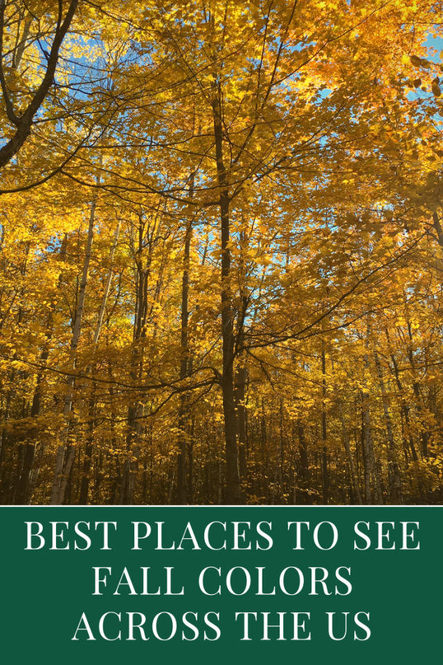 Best places to see fall foliage across the US – Urvis Travel Journal