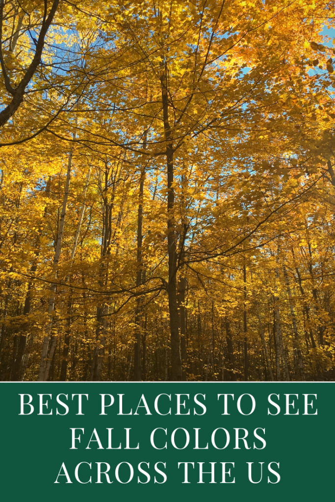 Best places to see fall foliage across the US – Urvis Travel Journal