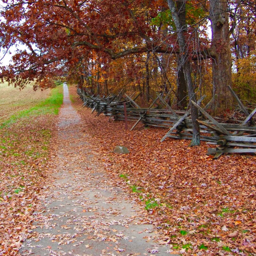 Best places to see fall foliage across the US – Urvis Travel Journal