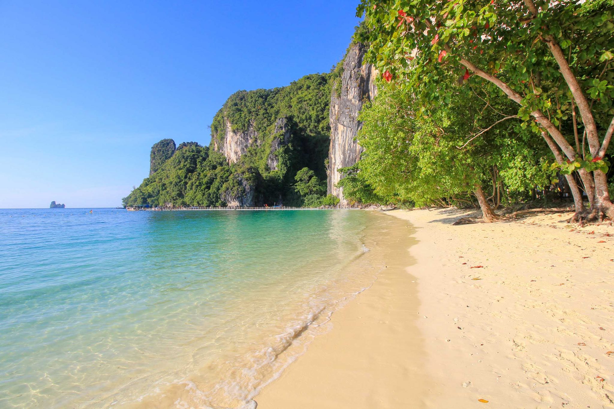 Best Places to visit in January – Urvis Travel Journal