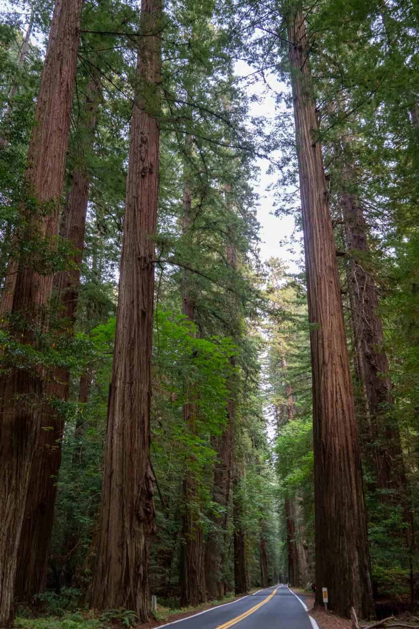 Ultimate Weekend getaway from Los Angeles – Urvis Travel Journal