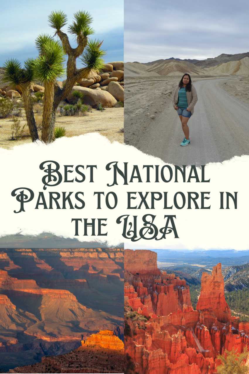Best National Parks to explore in the USA – Urvis Travel Journal
