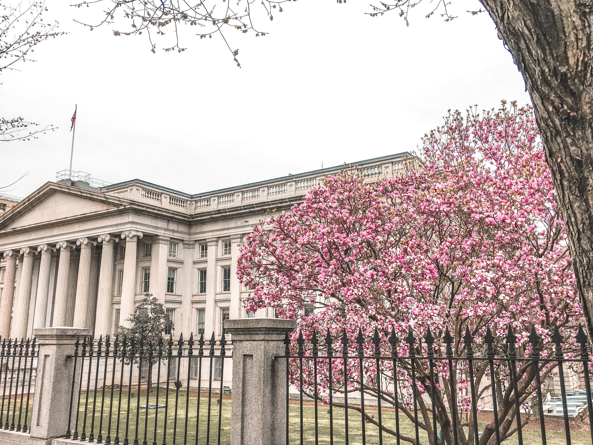 Best Places To See Spring Flowers – Urvis Travel Journal